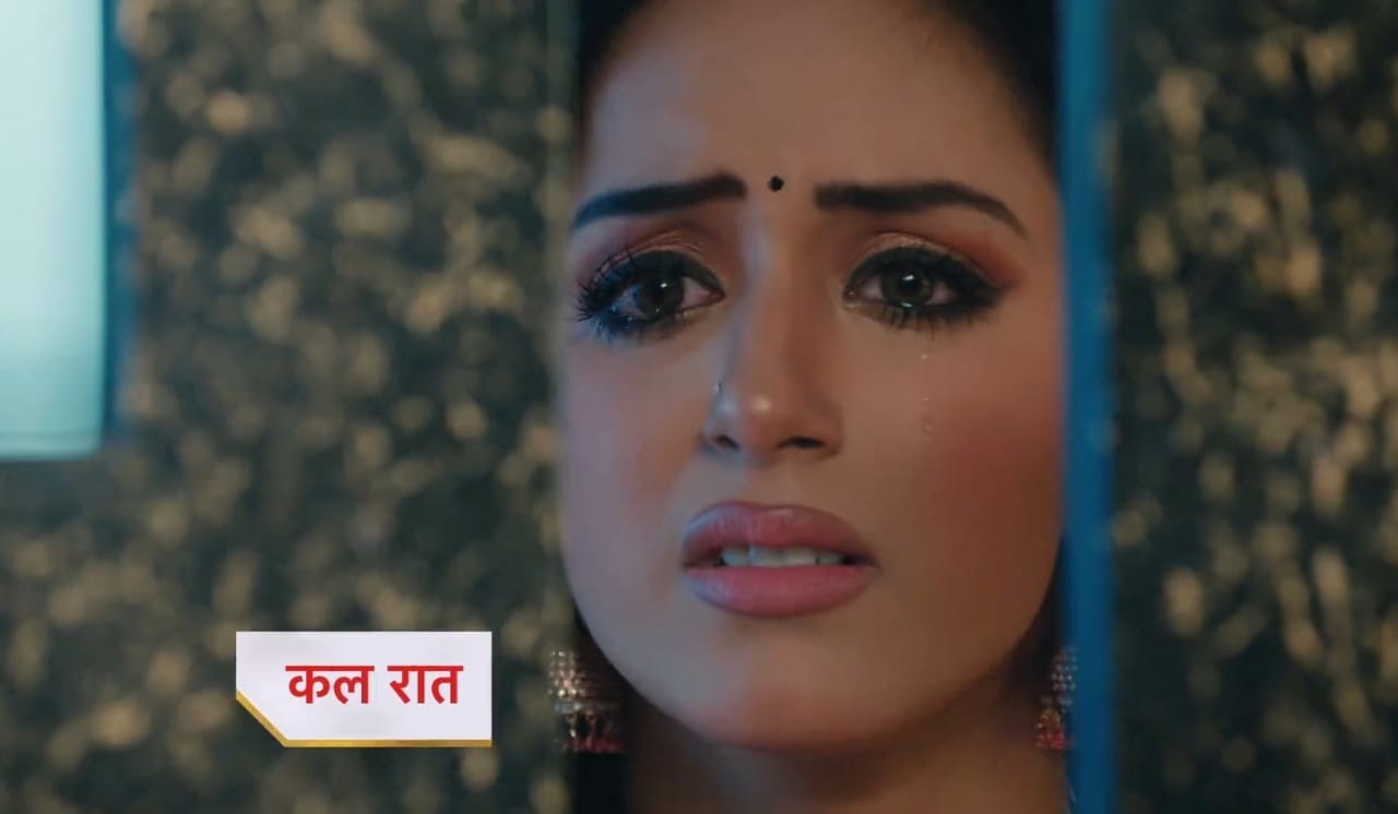 Yeh Hai Chahatein: Will Preesha begin new life with Armaan? - JustShowBiz